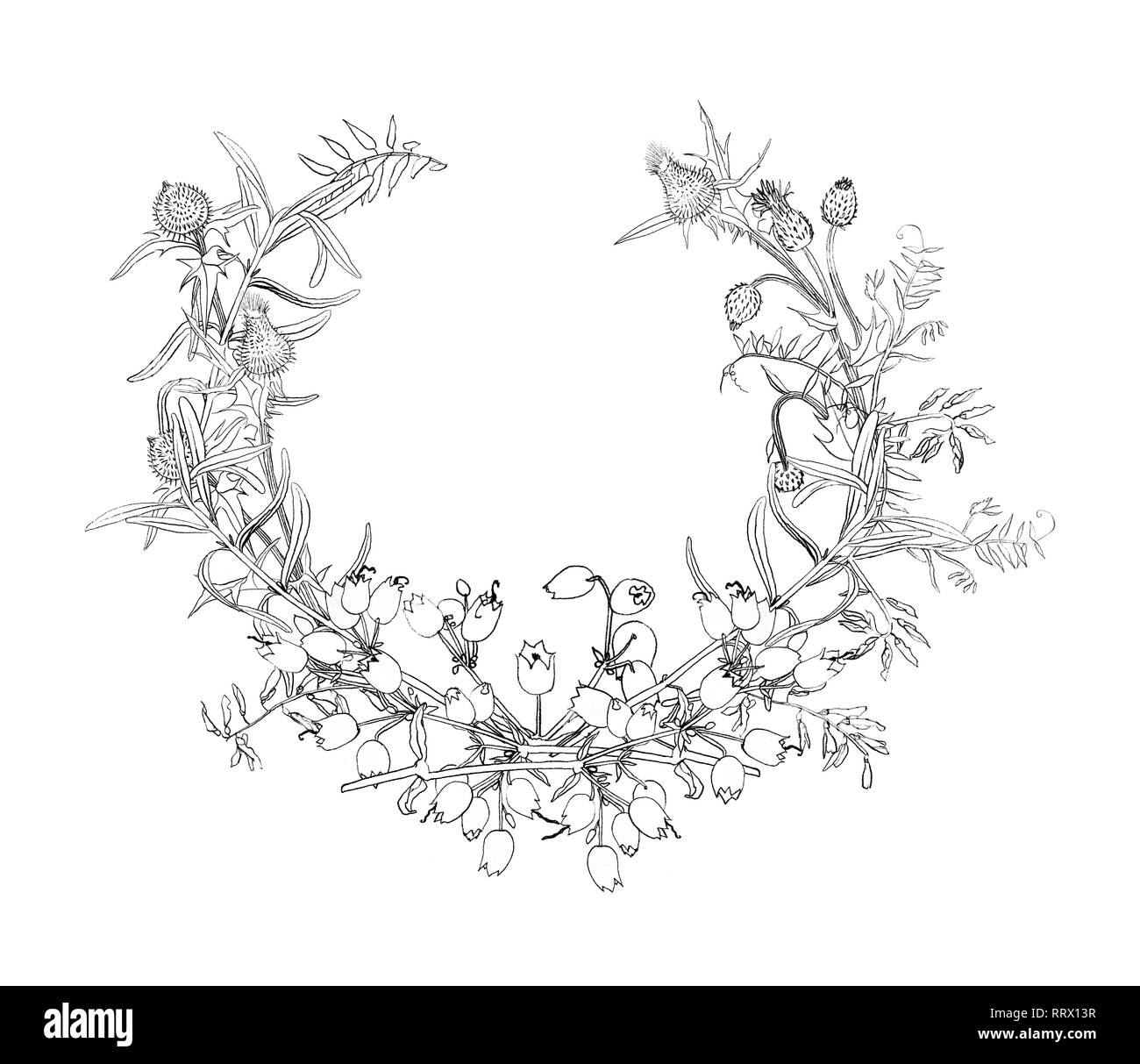 Beautiful engraving flower pattern isolated on white background for ...