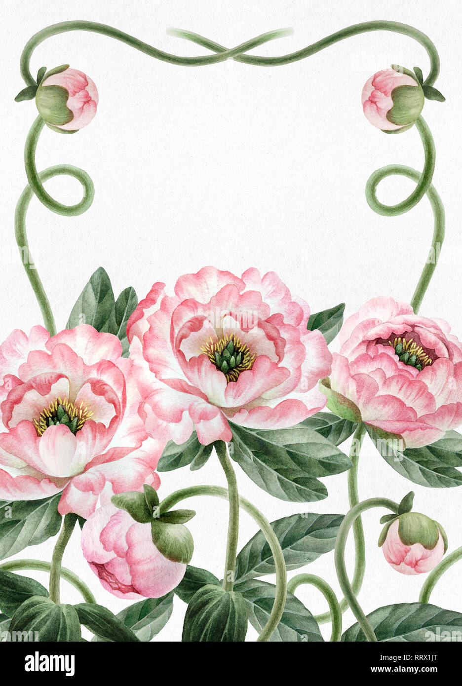 Bouquet of beautiful watercolor peonies isolated on white background ...