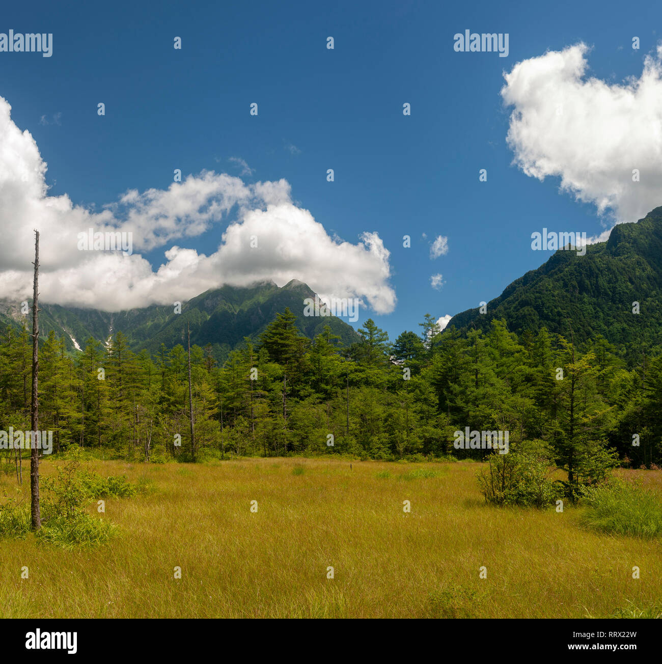 Floodplain system hi-res stock photography and images - Alamy