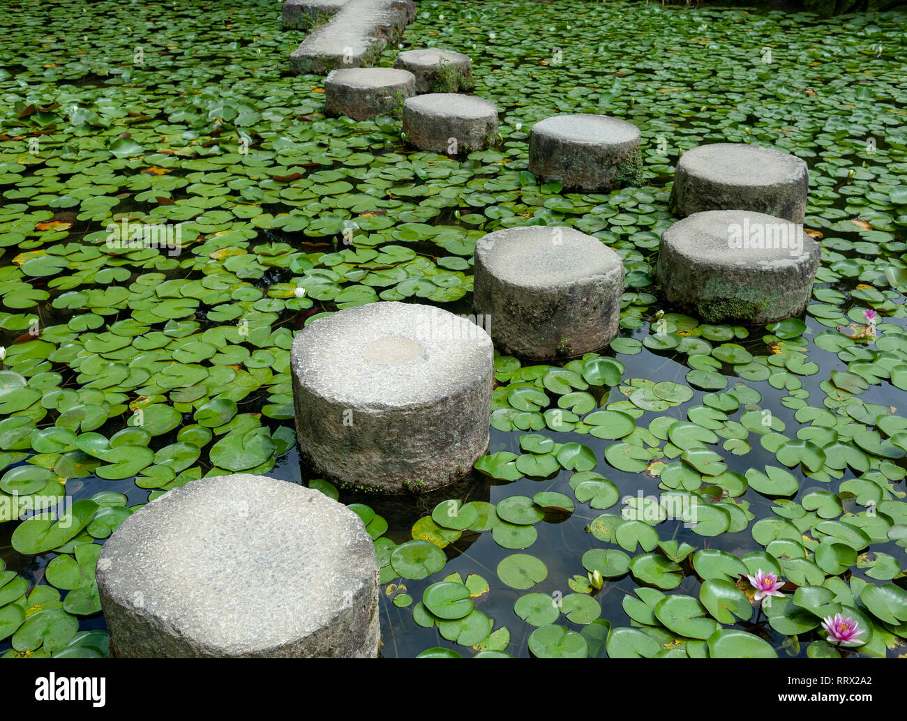 Water feature japanese garden hi-res stock photography and images - Alamy