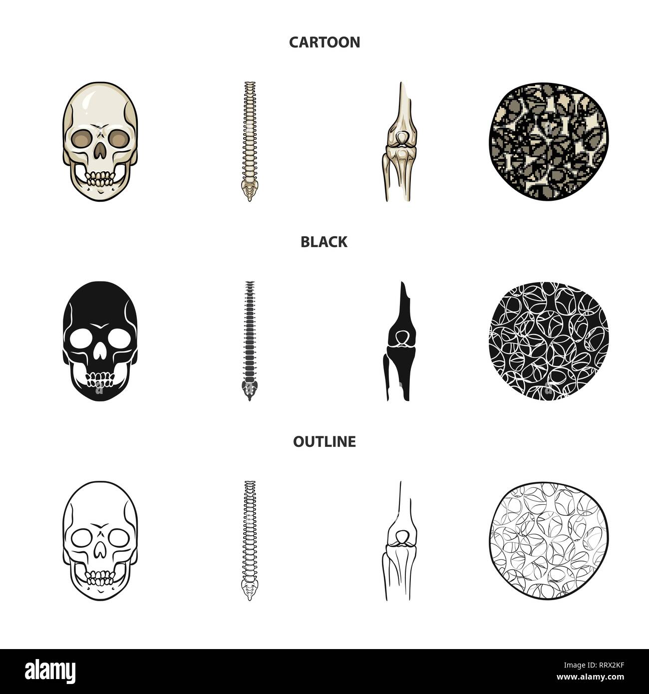 skull,spine,femur,osteoporosis,death,chiropractic,bony,cell,monster ...
