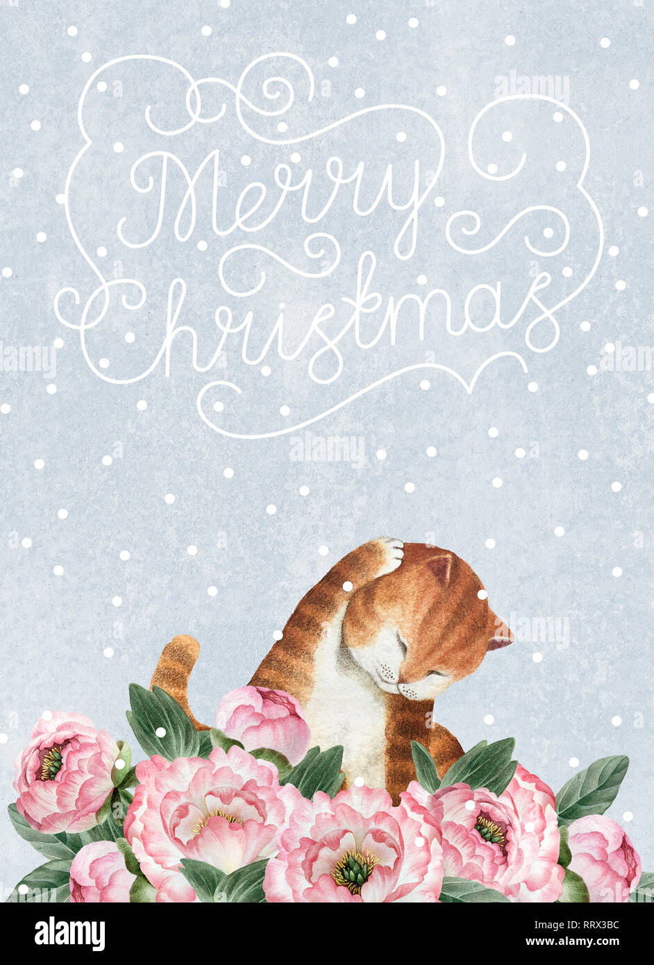 Greeting postcard with cute watercolor cat. Fat cat isolated on blue ...