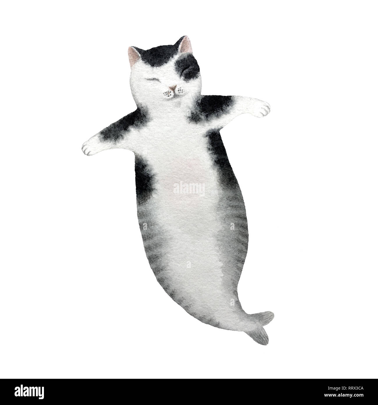 Cute watercolor cat mermaid character isolated on white background for ...