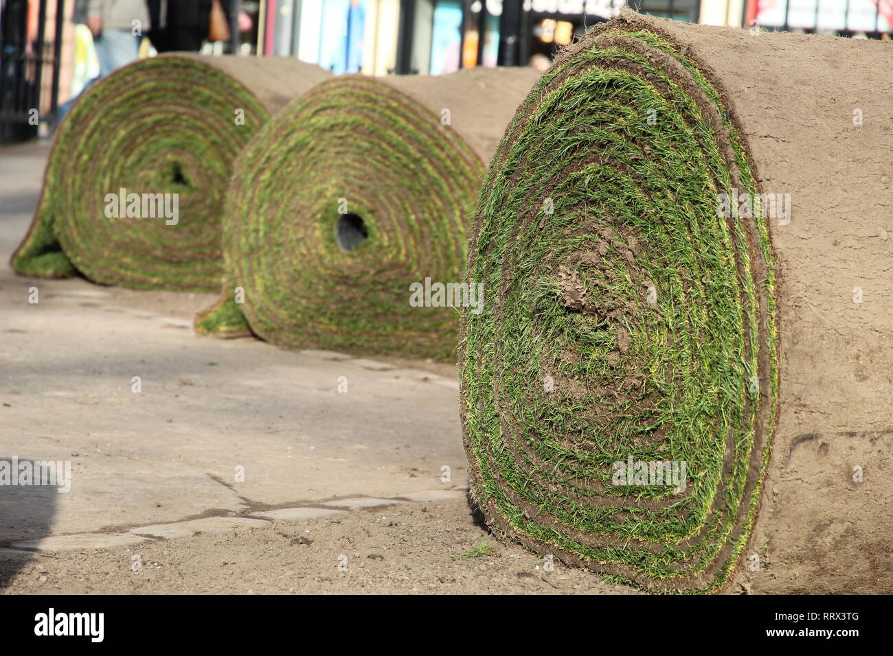 Turf Rolls High Resolution Stock Photography and Images - Alamy