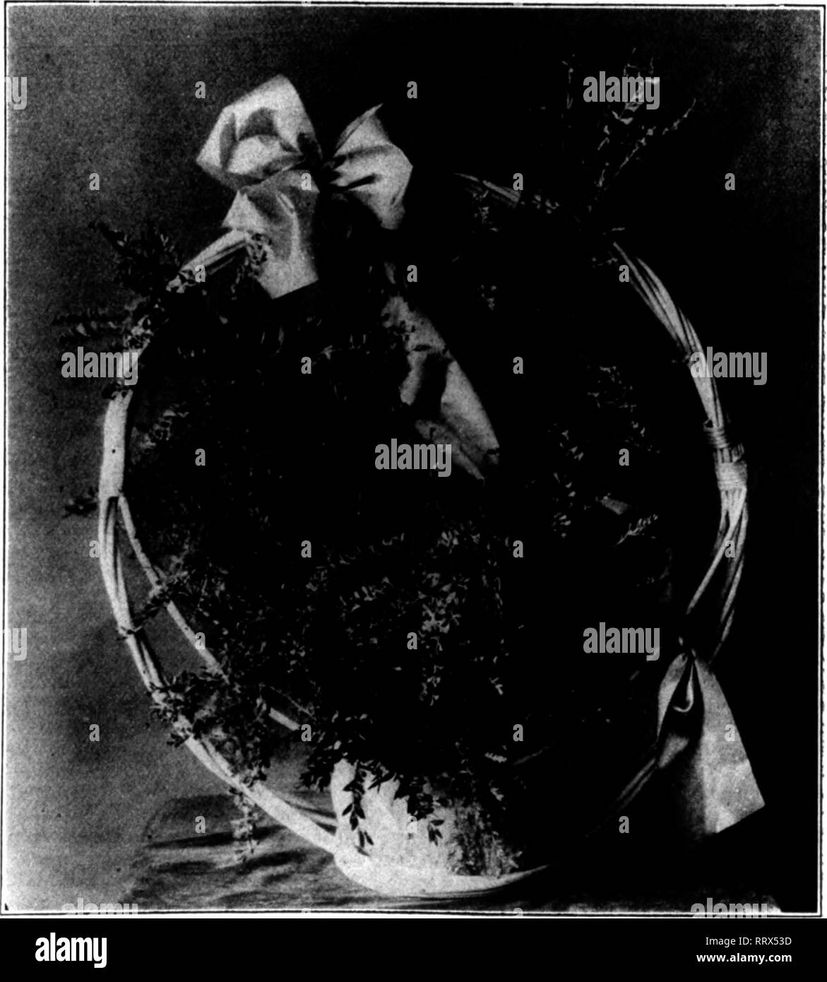 Mamory Black and White Stock Photos & Images - Alamy