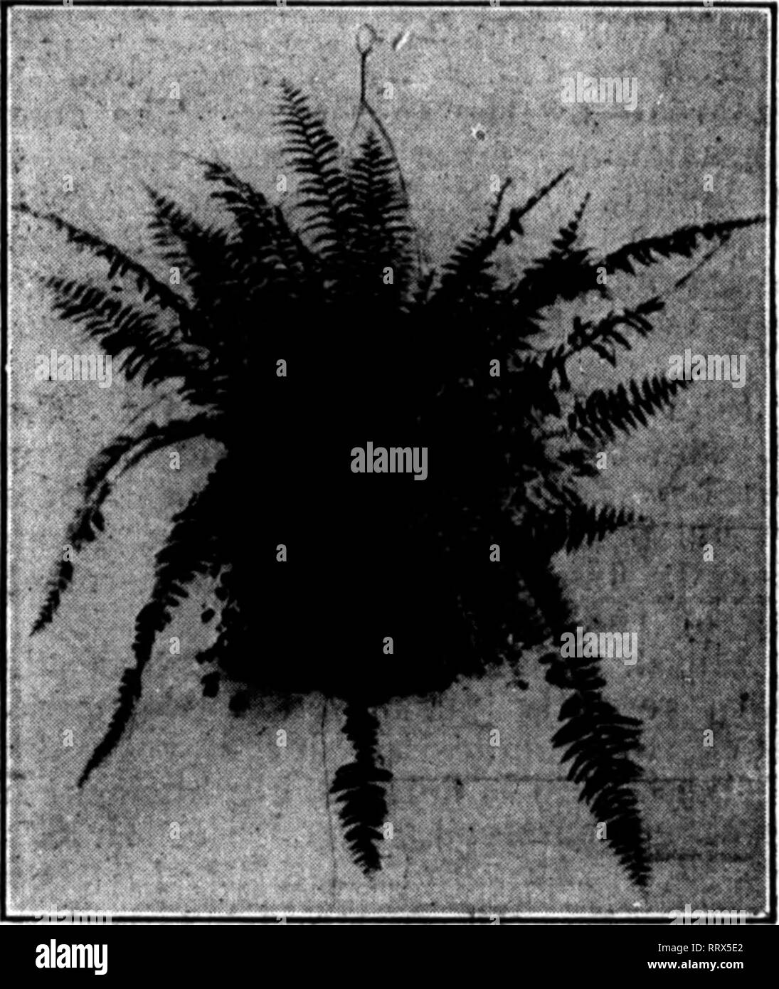 Standard 2 8 0 Black and White Stock Photos & Images - Alamy