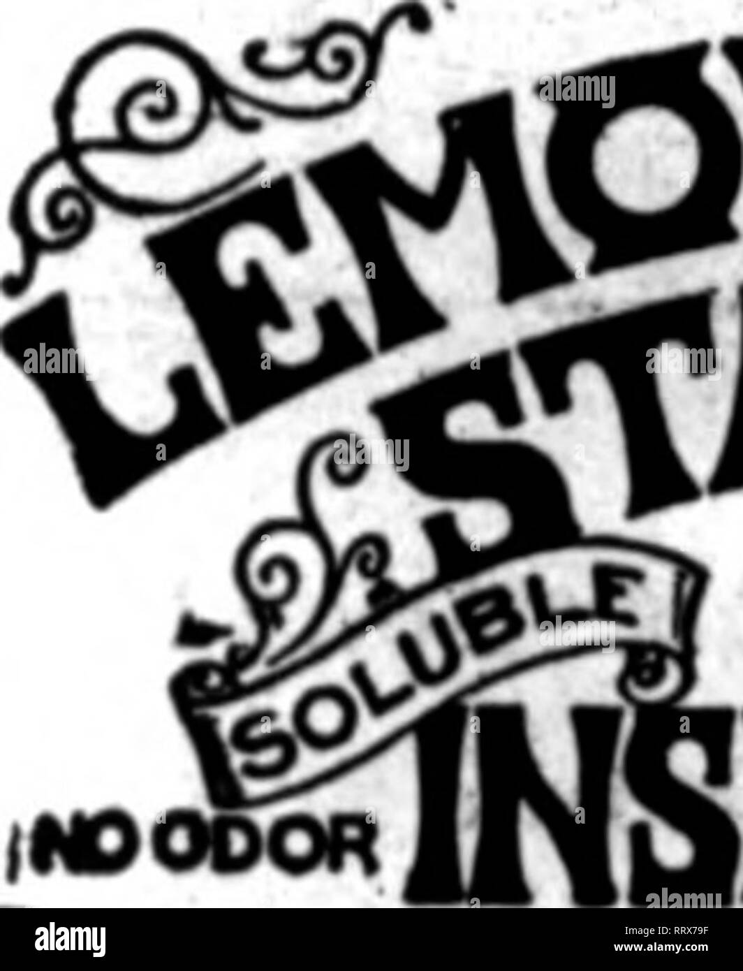 Ished tree Black and White Stock Photos & Images - Alamy