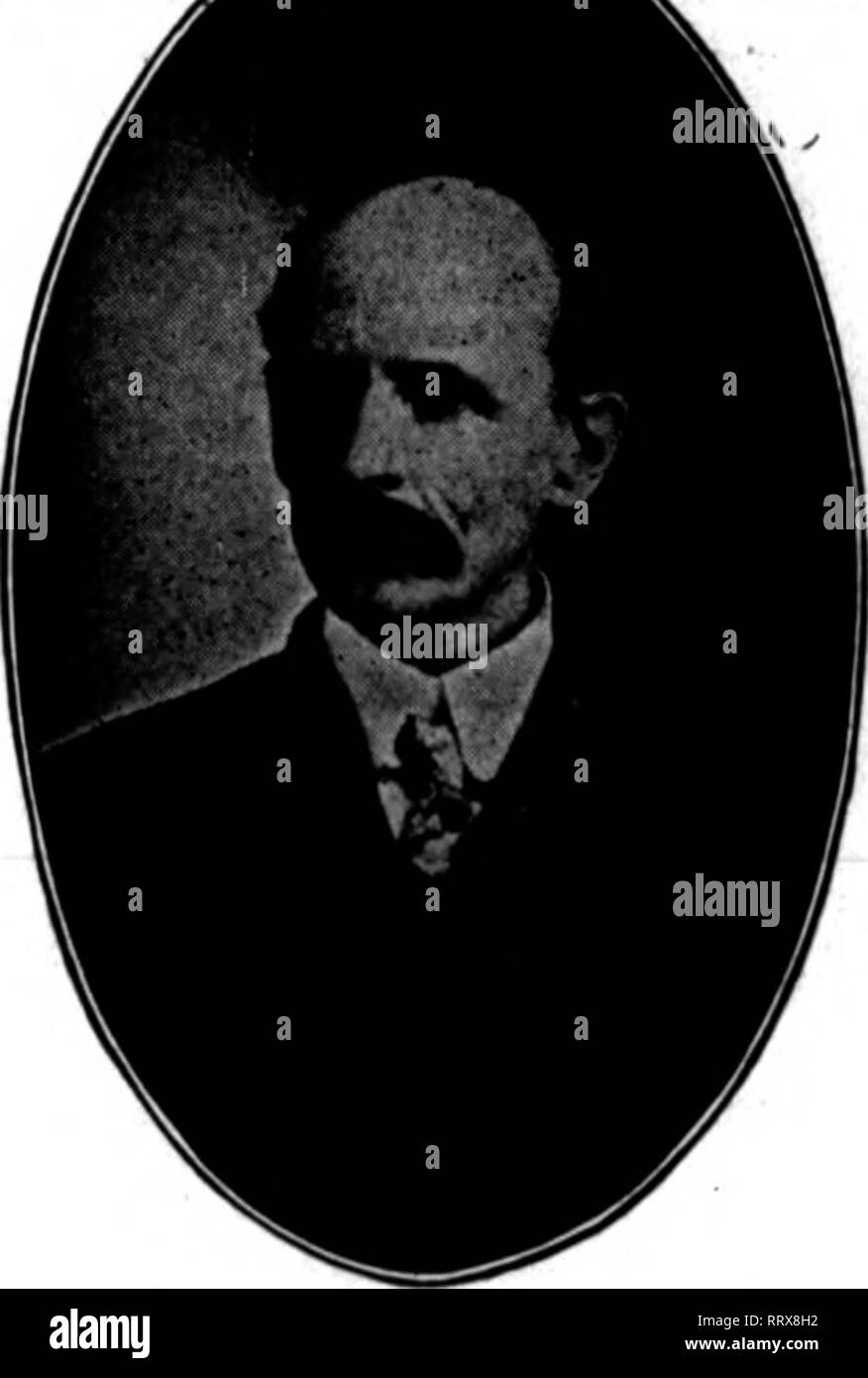 Fancy bun cases Black and White Stock Photos & Images - Alamy