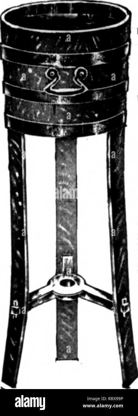 Ished tree Black and White Stock Photos & Images - Alamy