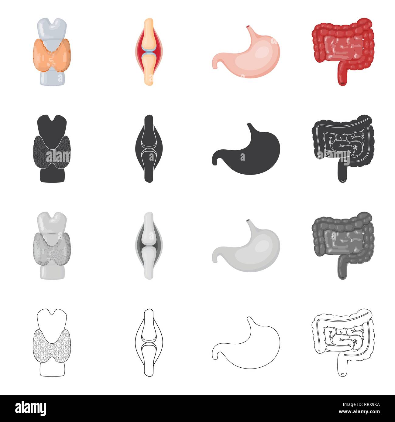 Vector illustration of biology and scientific sign. Collection of ...