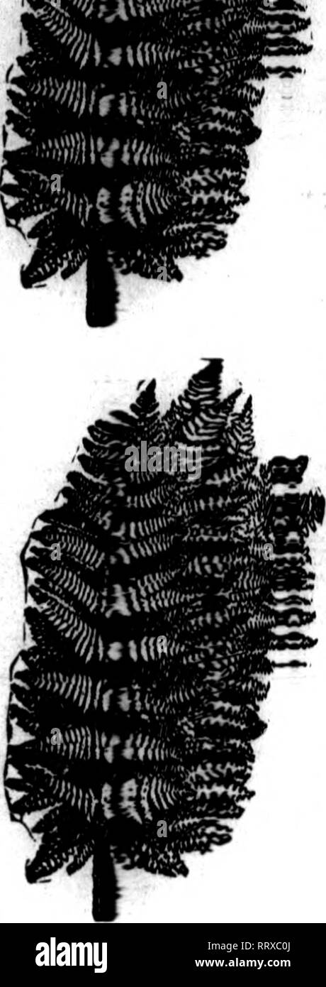 8 01 g Black and White Stock Photos & Images - Alamy