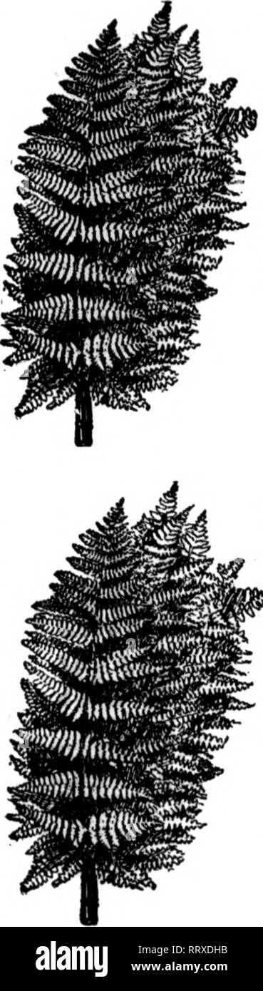 1000 lb bales Cut Out Stock Images & Pictures - Alamy