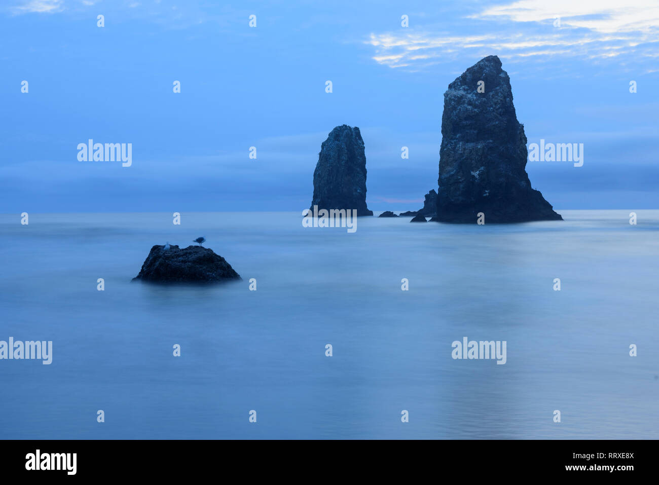 North America, USA, Pacific Northwest, Oregon Coast, Oregon, Sea Stacks ...