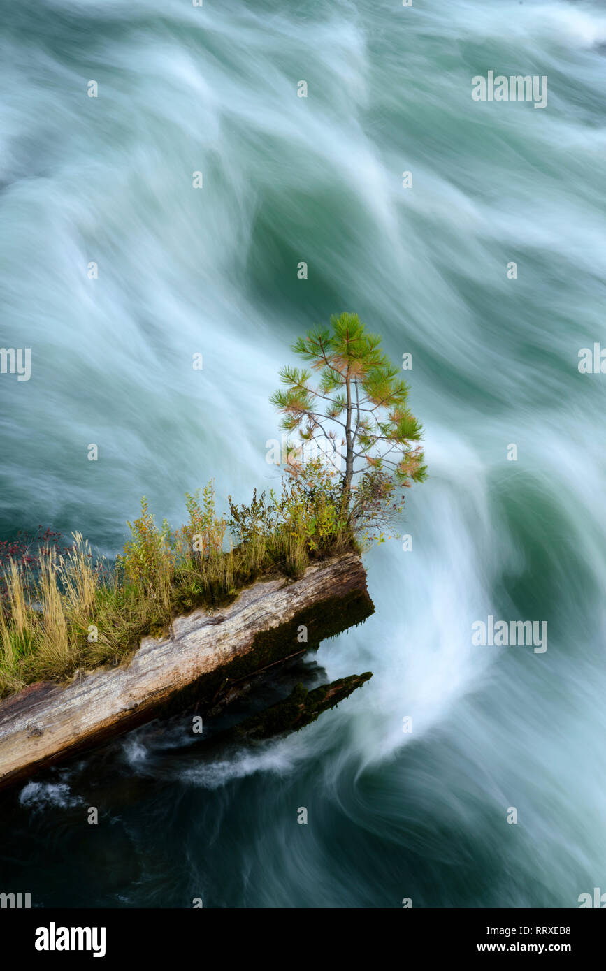 North America, USA, Oregon, Pacific Northwest, Central Oregon, Bend ...