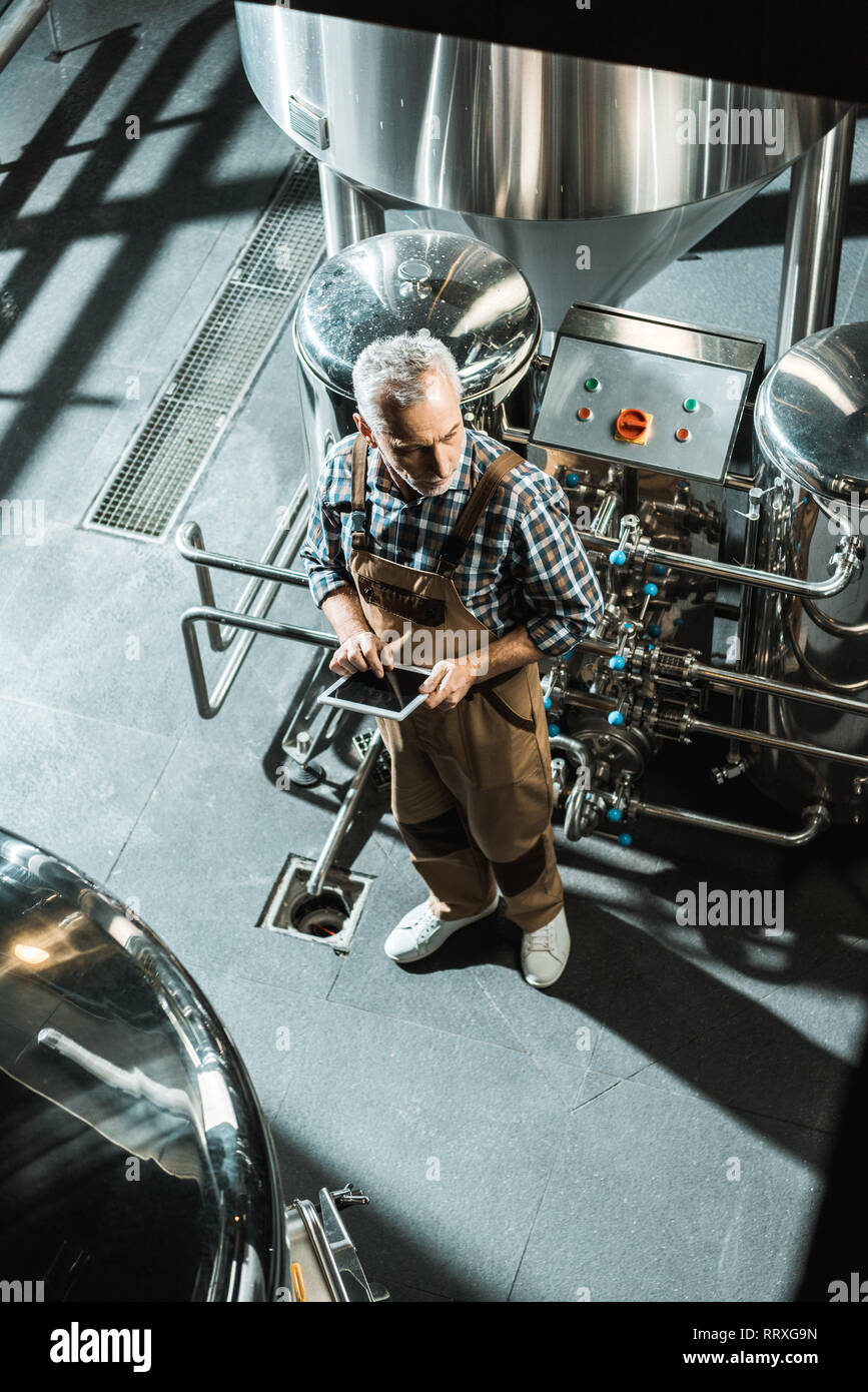 overhead view of male professional brewer using digital device in ...