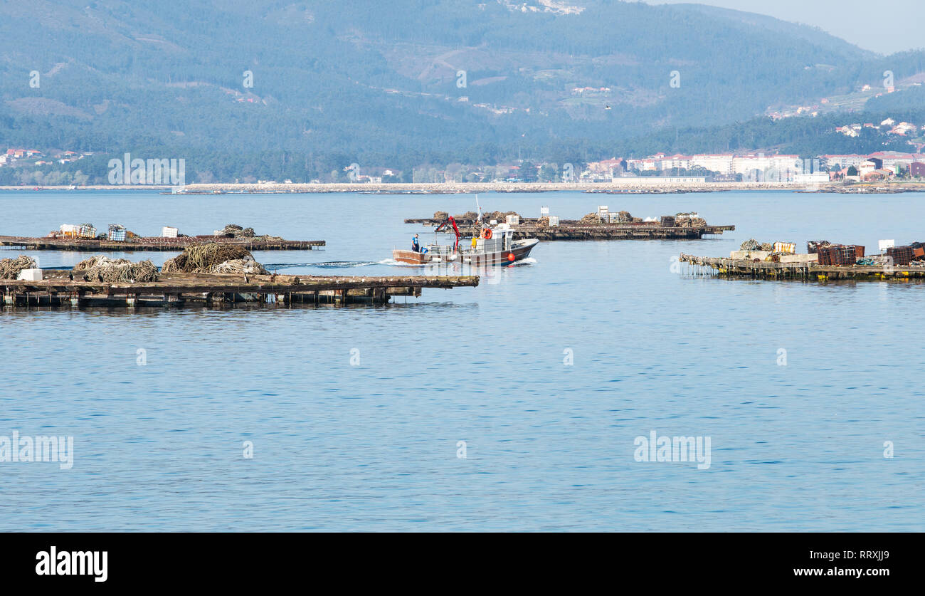 Batea hi-res stock photography and images - Alamy