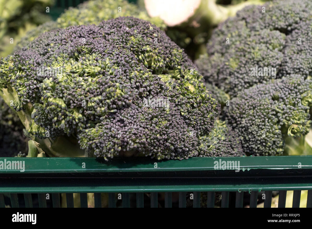 fresh Broccoli in a box on the market Stock Photo - Alamy