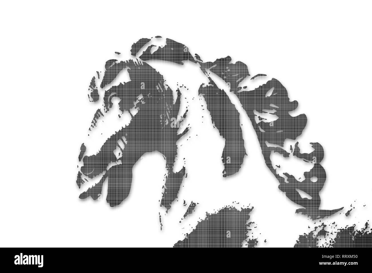 Graphic horse head isolated on white background: digital design Stock ...