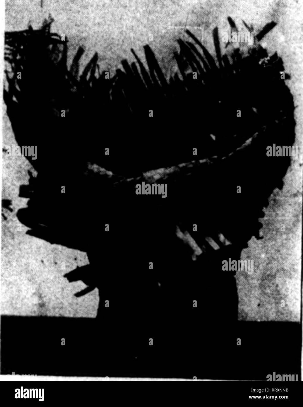 Raffia mat Black and White Stock Photos & Images - Alamy