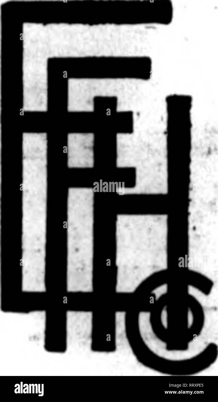 Flor focal Black and White Stock Photos & Images - Alamy