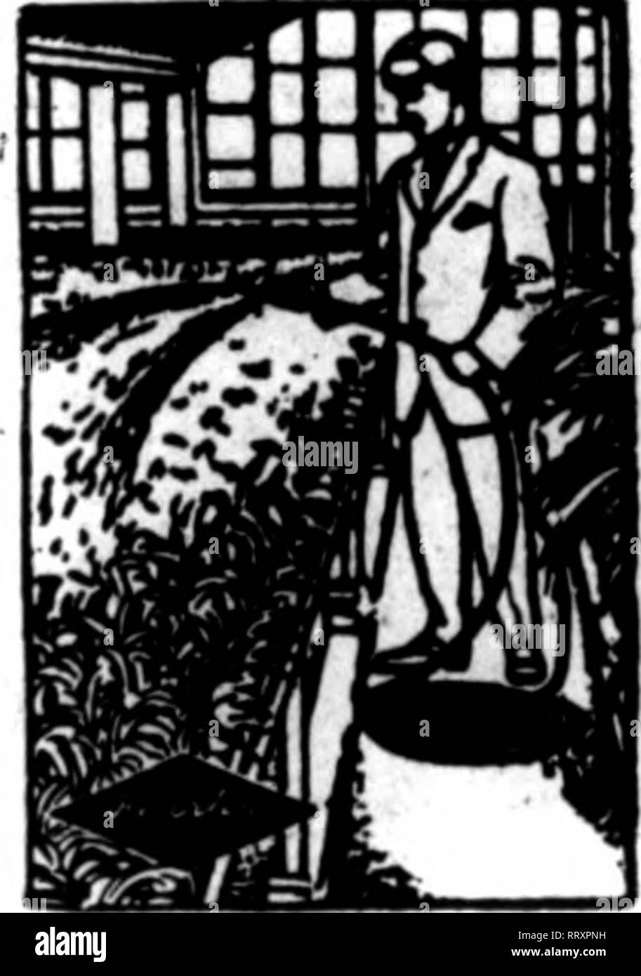 Ished tree Black and White Stock Photos & Images - Alamy