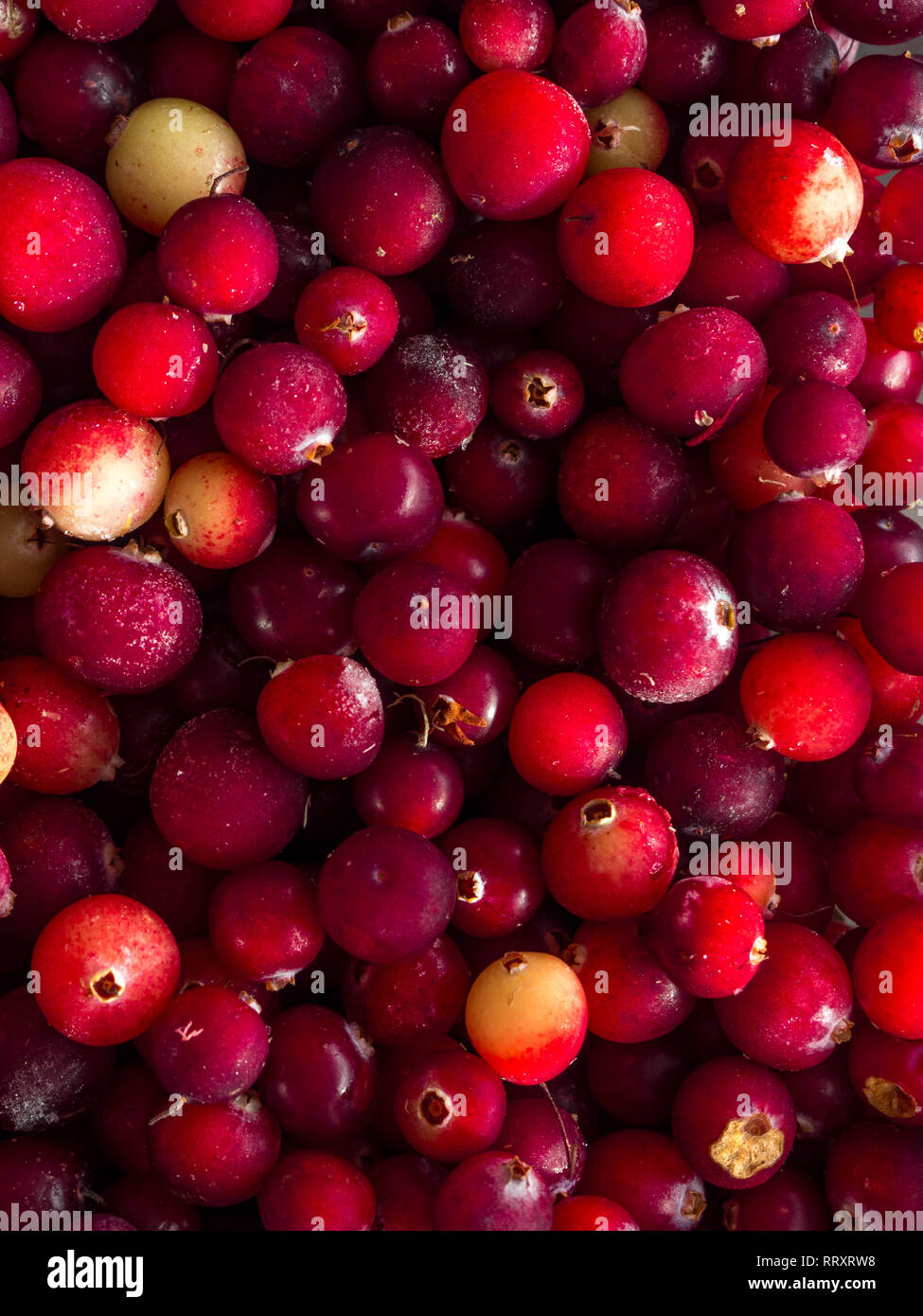 Cranberry. Cranberry background. Cranberries rich with vitamin. Food ...