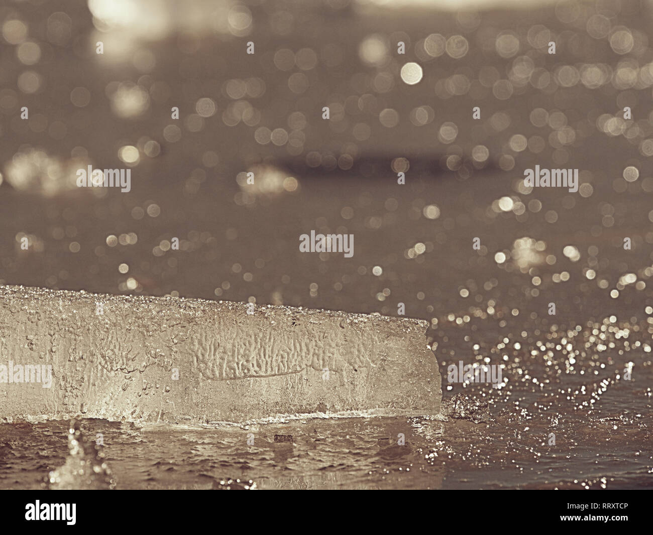 Ice floe at frozen lake surface with reflection. Bubbles frozen in thin ...