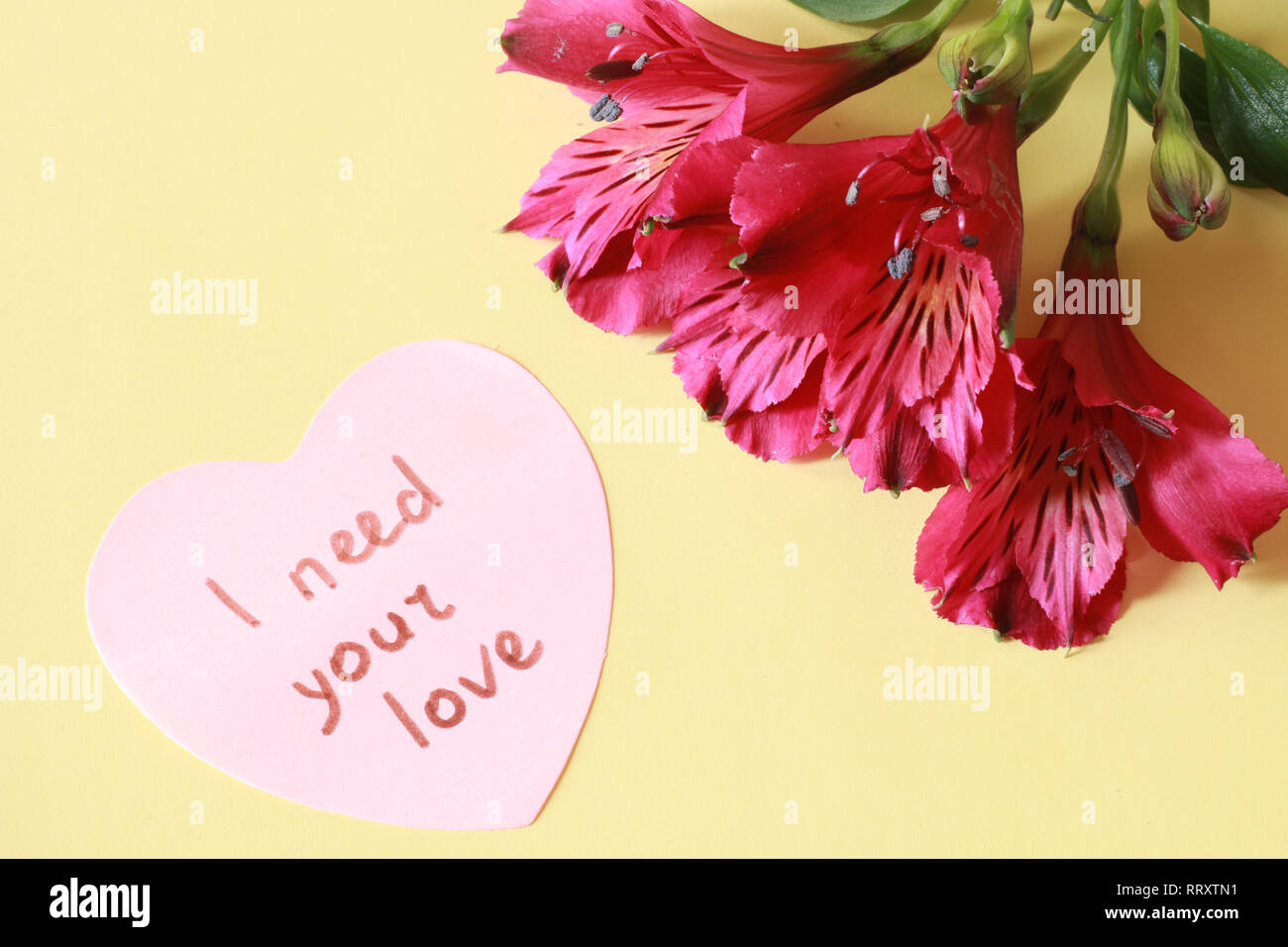 Need your passion hi-res stock photography and images - Alamy