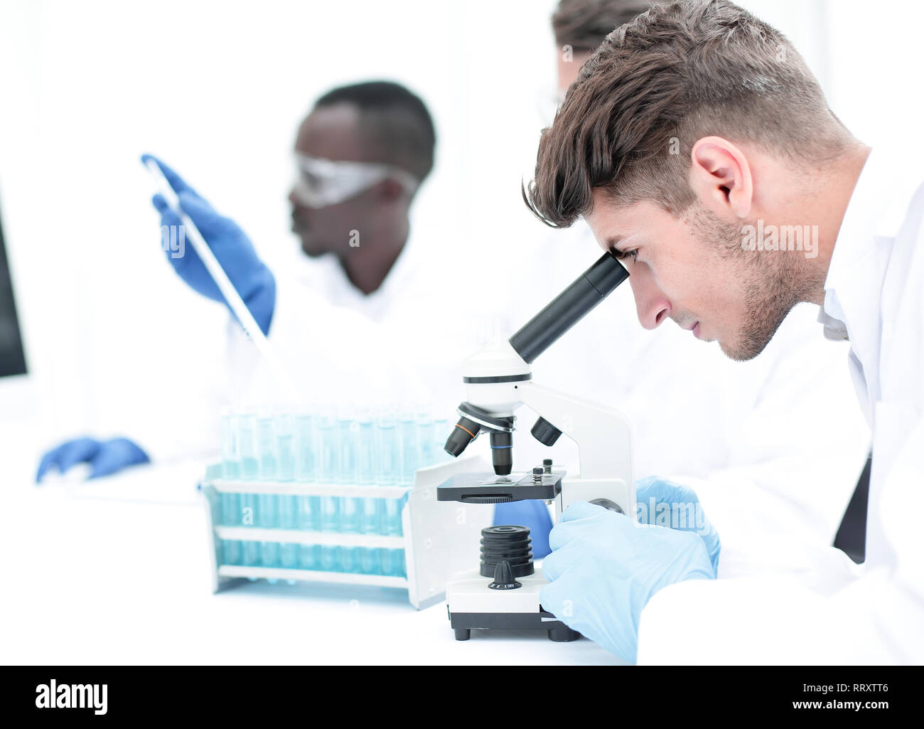 rear view. a group of scientists at the laboratory table Stock Photo ...