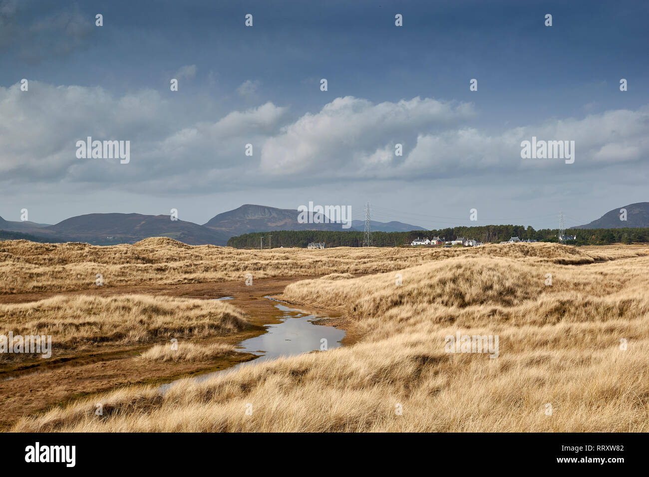 COUL LINKS EMBO SCOTLAND VIEW OVER THE GRASS COVERED LINKS SATURATED ...