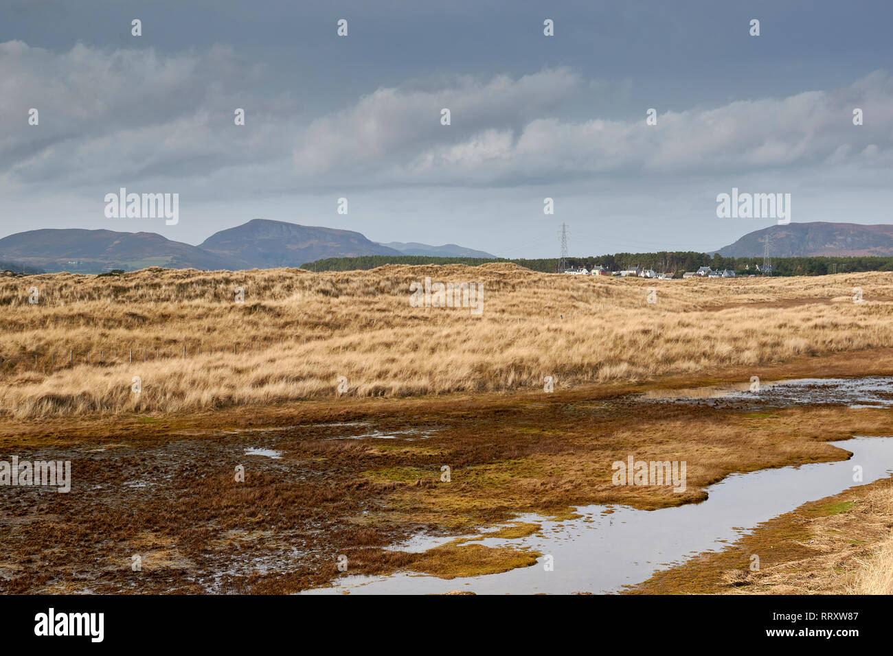COUL LINKS EMBO SCOTLAND VIEW OVER THE GRASS COVERED LINKS AND ...
