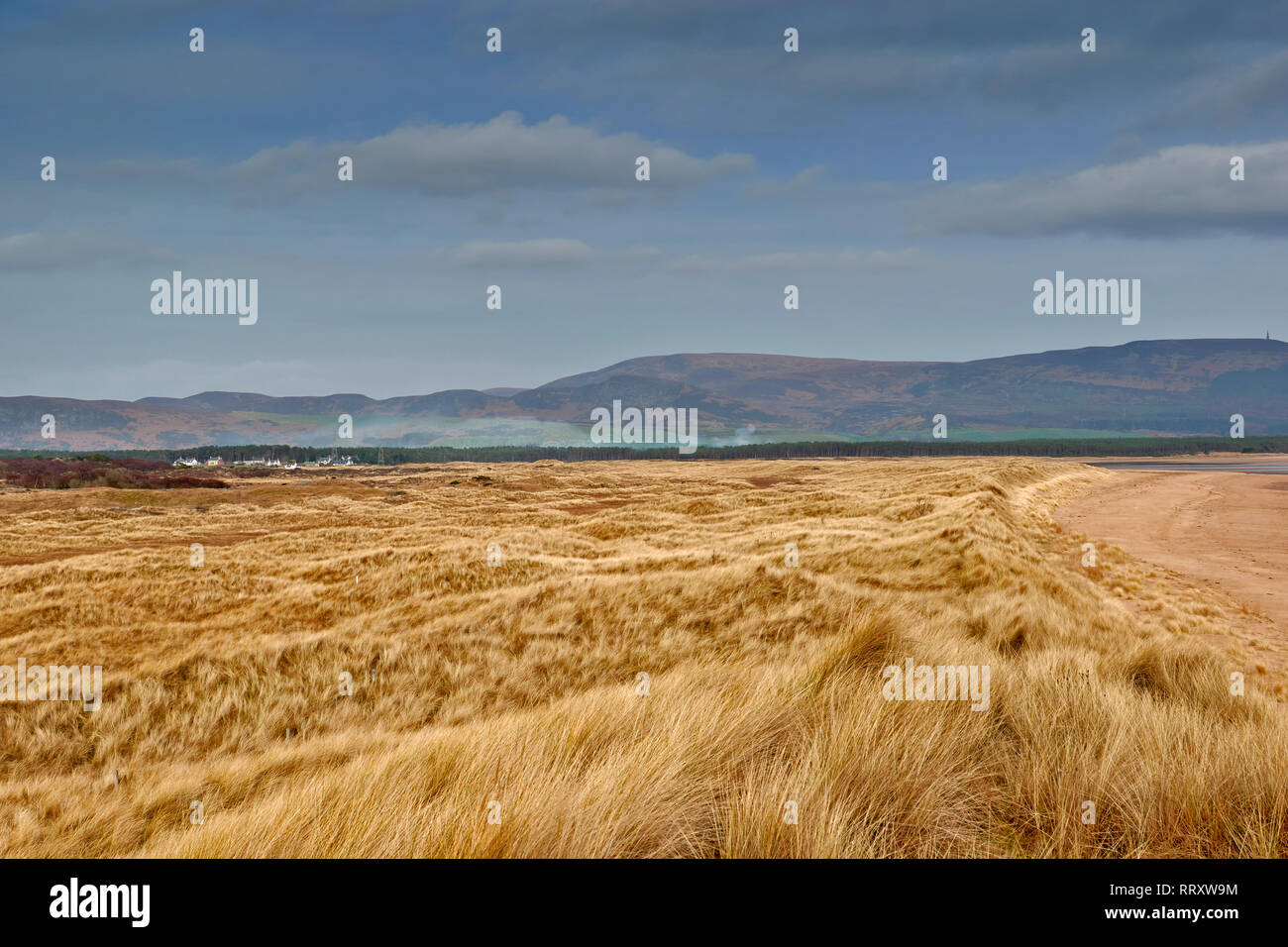 COUL LINKS EMBO SUTHERLAND SCOTLAND LOOKING ACROSS DUNES WILD GRASSES ...