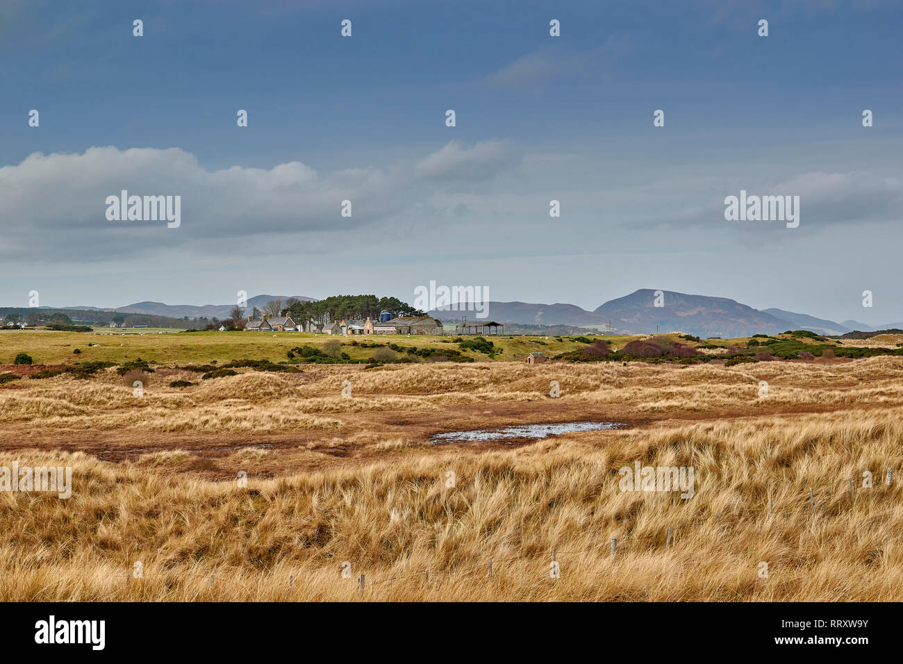 COUL LINKS EMBO SUTHERLAND SCOTLAND LOOKING ACROSS DUNES WILD GRASSES ...