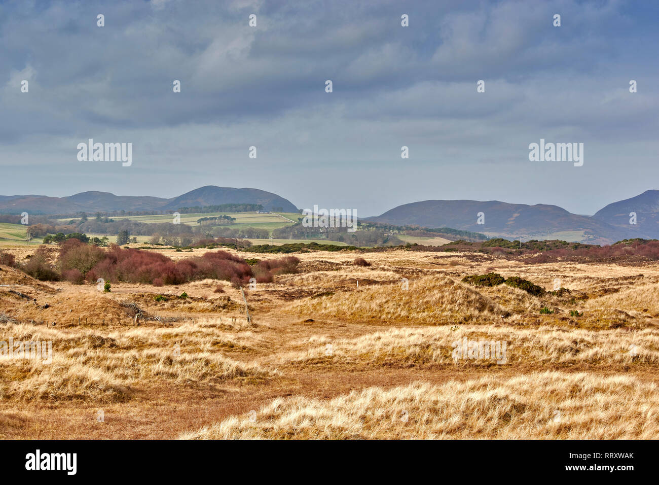 COUL LINKS EMBO SUTHERLAND SCOTLAND LOOKING ACROSS DUNES AND WILD ...