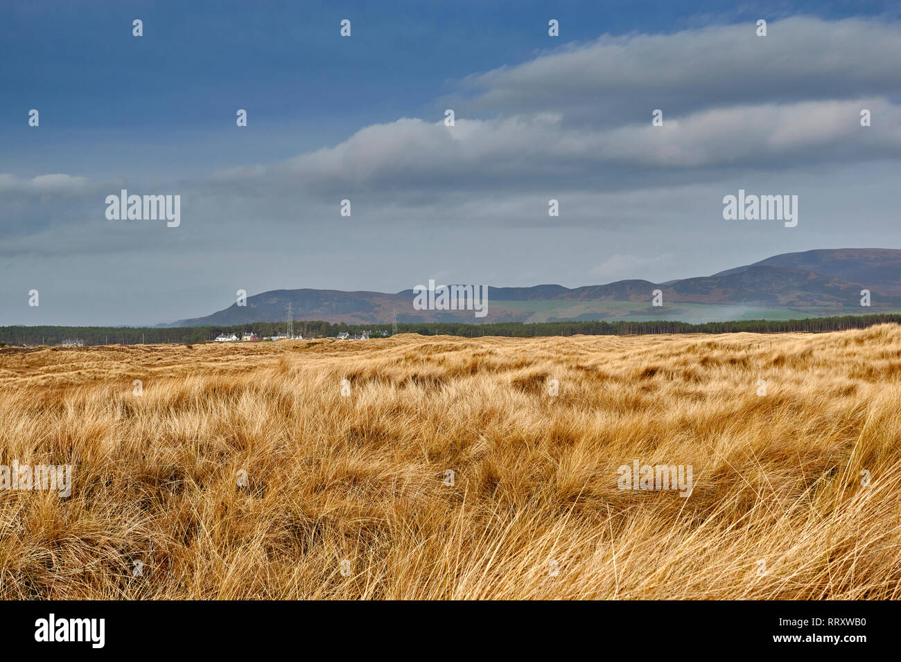 COUL LINKS EMBO SUTHERLAND SCOTLAND LOOKING ACROSS DUNES AND WILD ...