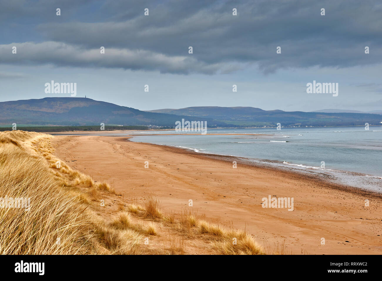 COUL LINKS EMBO SUTHERLAND SCOTLAND LOOKING ACROSS EXTENSIVE DUNES WILD ...