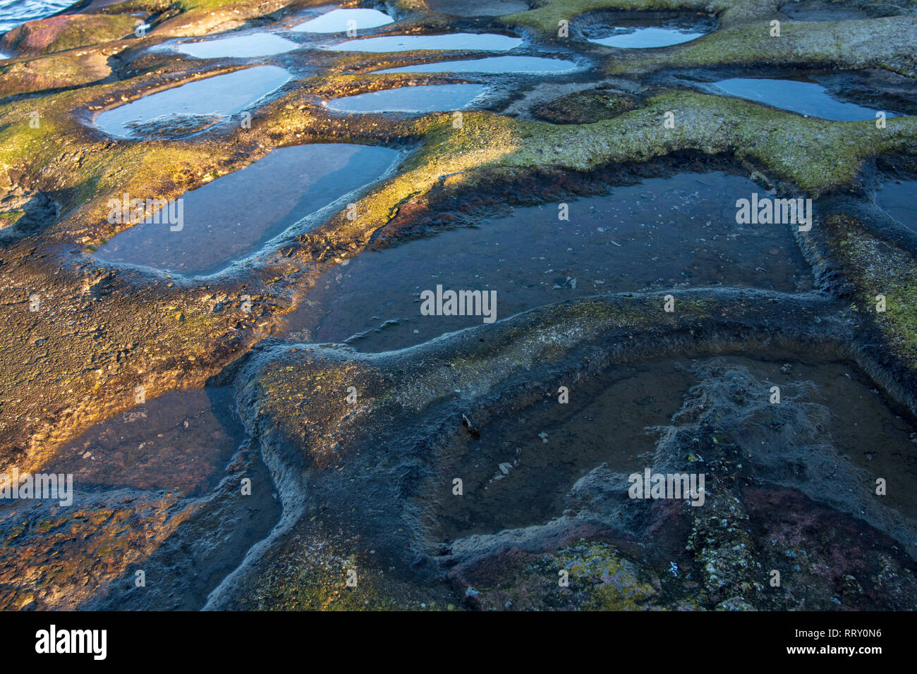 Wet stone surface hi-res stock photography and images - Alamy