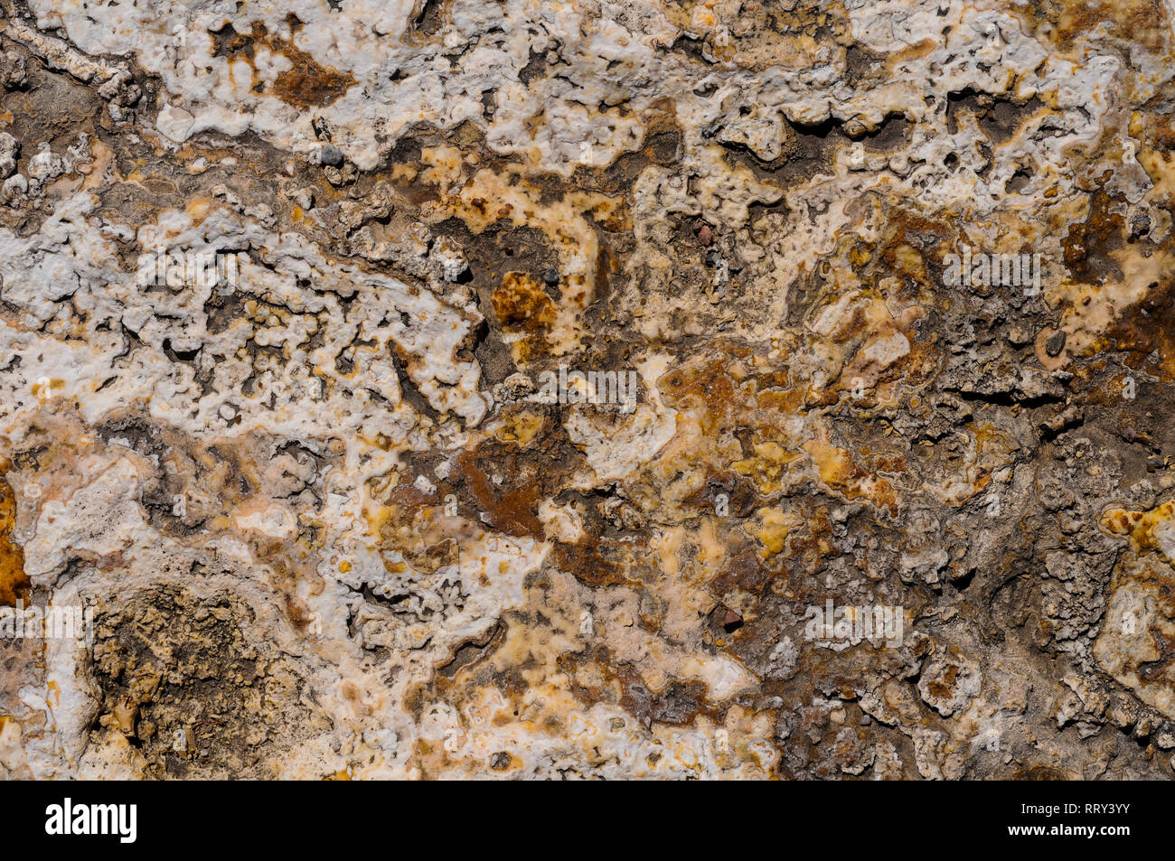Rock texture close up Stock Photo - Alamy