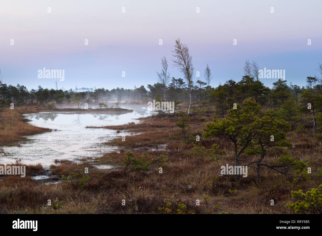 Swamp fog hi-res stock photography and images - Alamy
