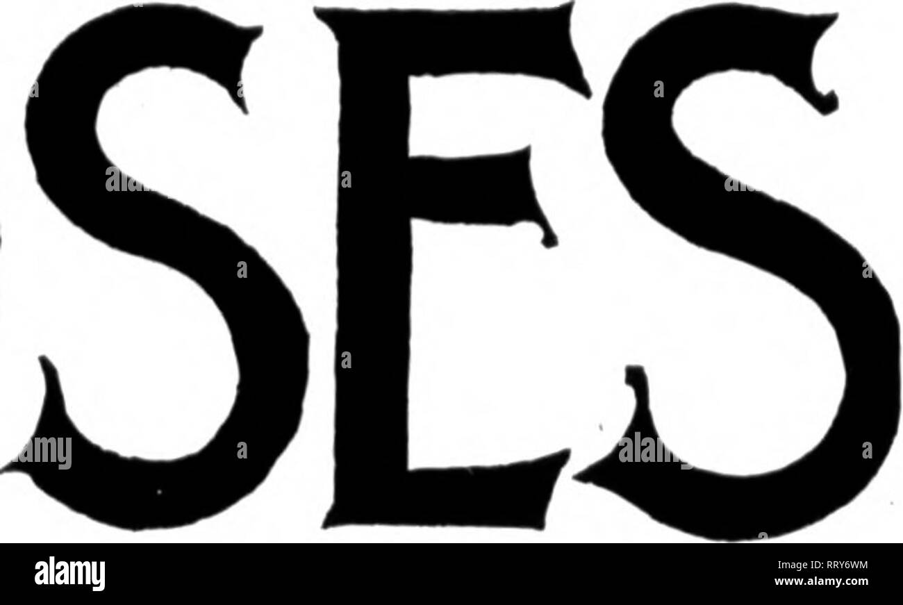 Lias line Black and White Stock Photos & Images - Alamy