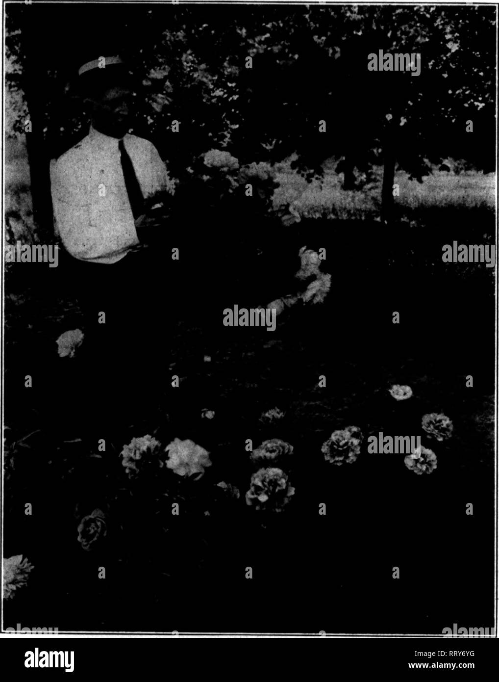 David croom Black and White Stock Photos & Images - Alamy