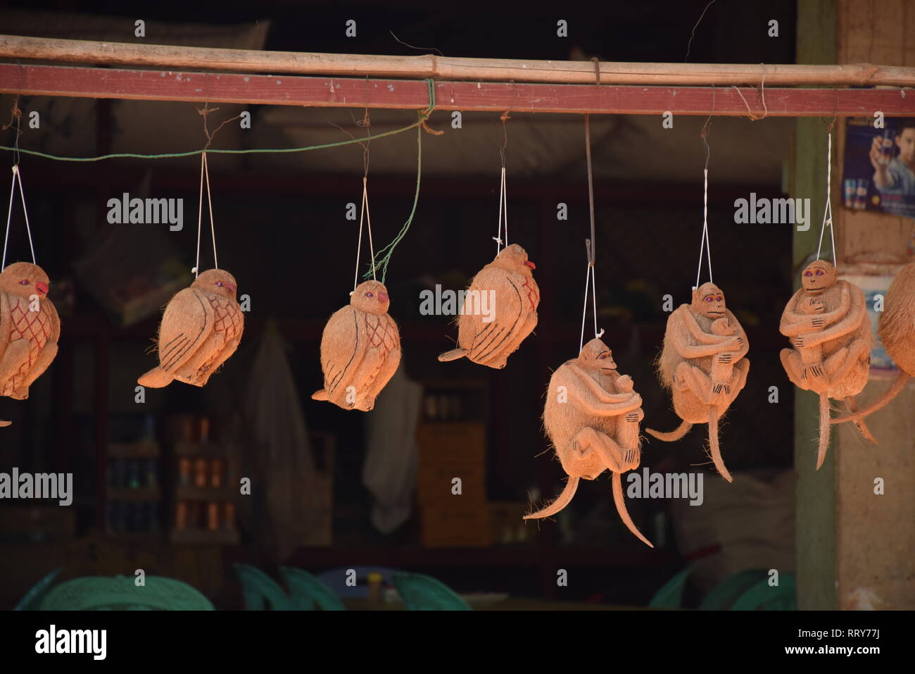 Coconut shop hi-res stock photography and images - Alamy
