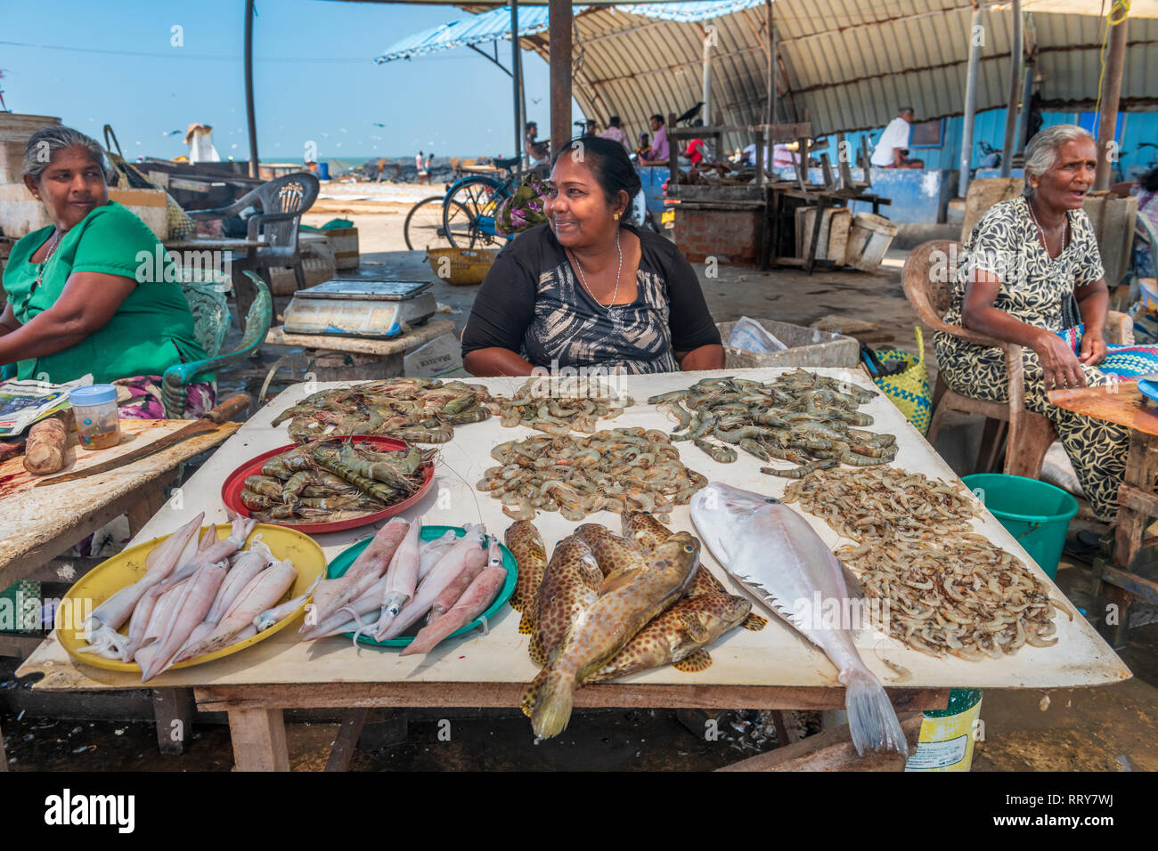 Women chat together as they sit behind their displays of fish for sale ...