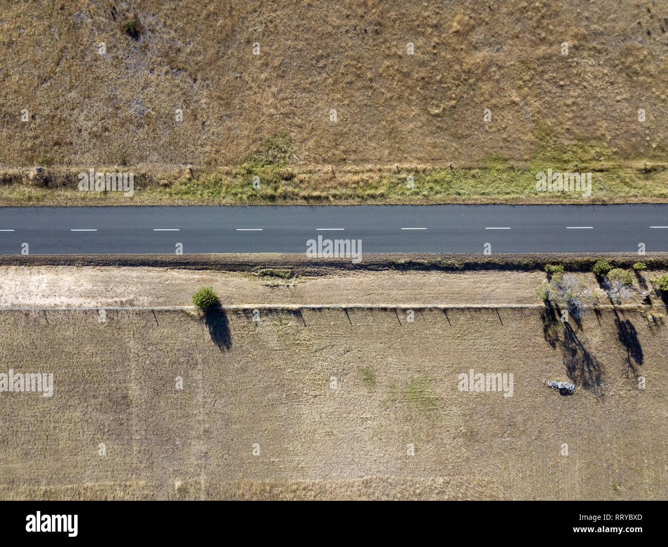 Country road Australia from above with a two lane road, trees and in a ...