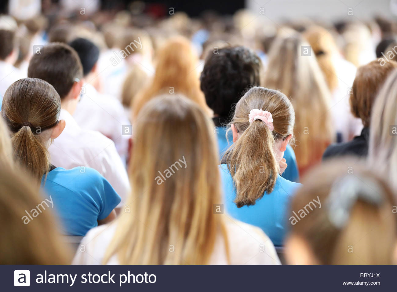 High Large High Resolution Stock Photography and Images - Alamy