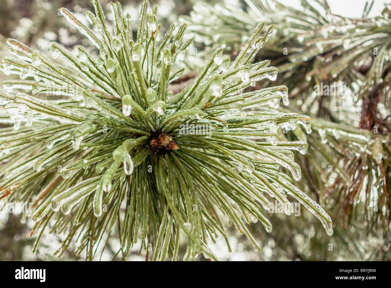 Storm ice hi-res stock photography and images - Alamy