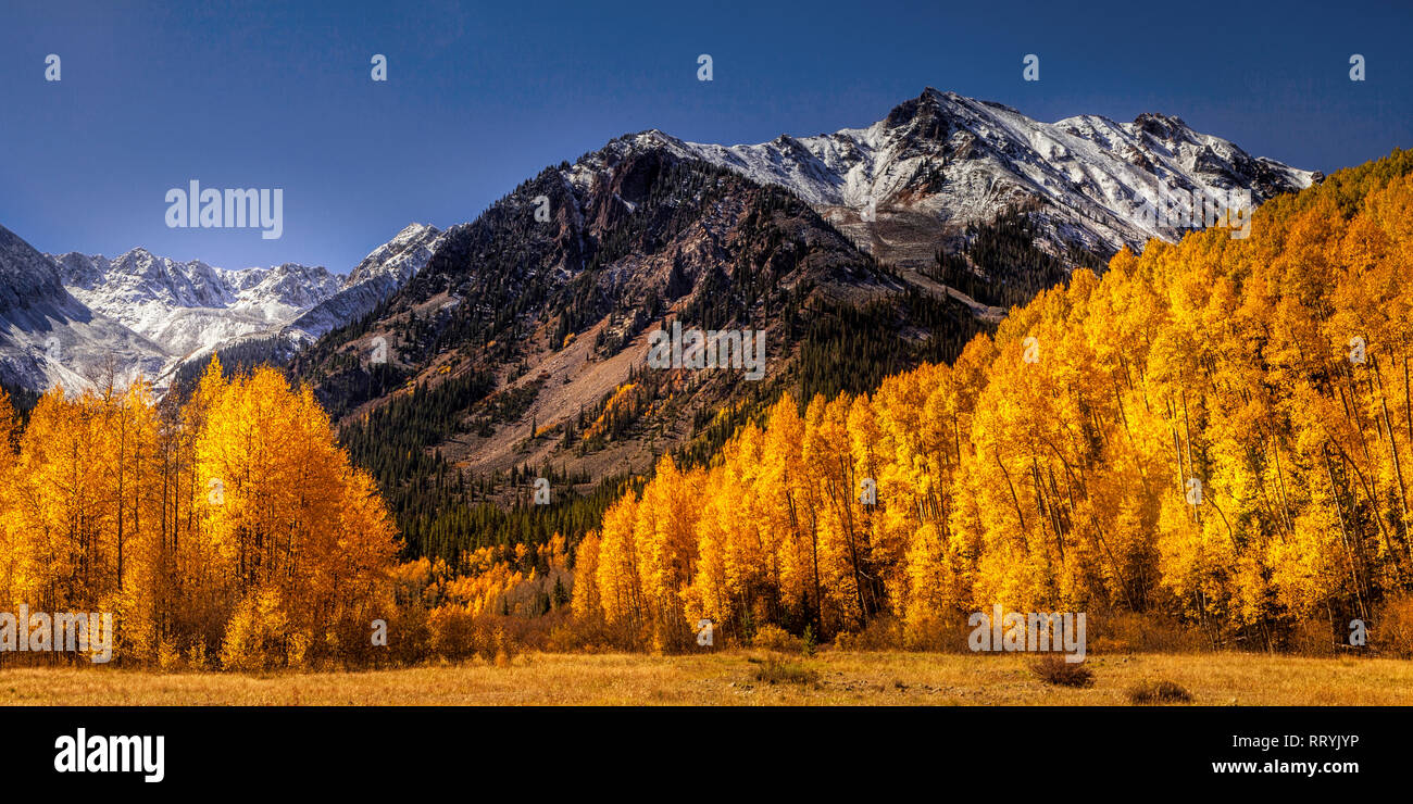 Aspen landscape hi-res stock photography and images - Alamy