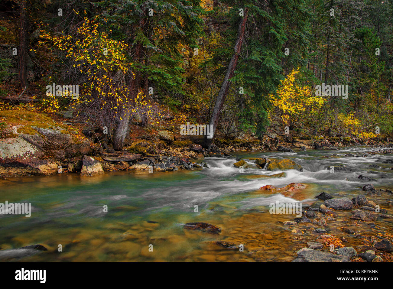 Autumn river scene in Colorado Stock Photo - Alamy