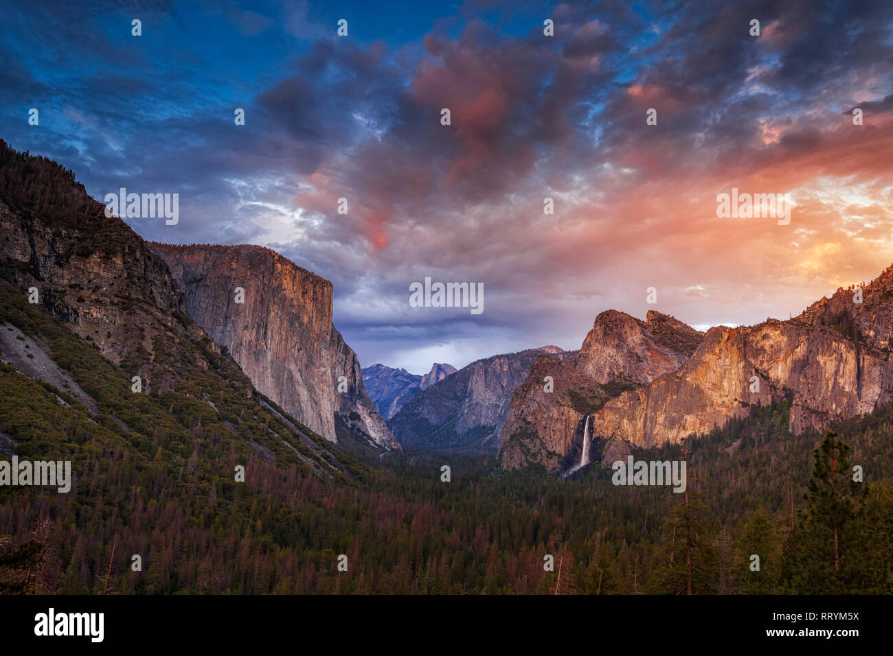 Bridalview hi-res stock photography and images - Alamy