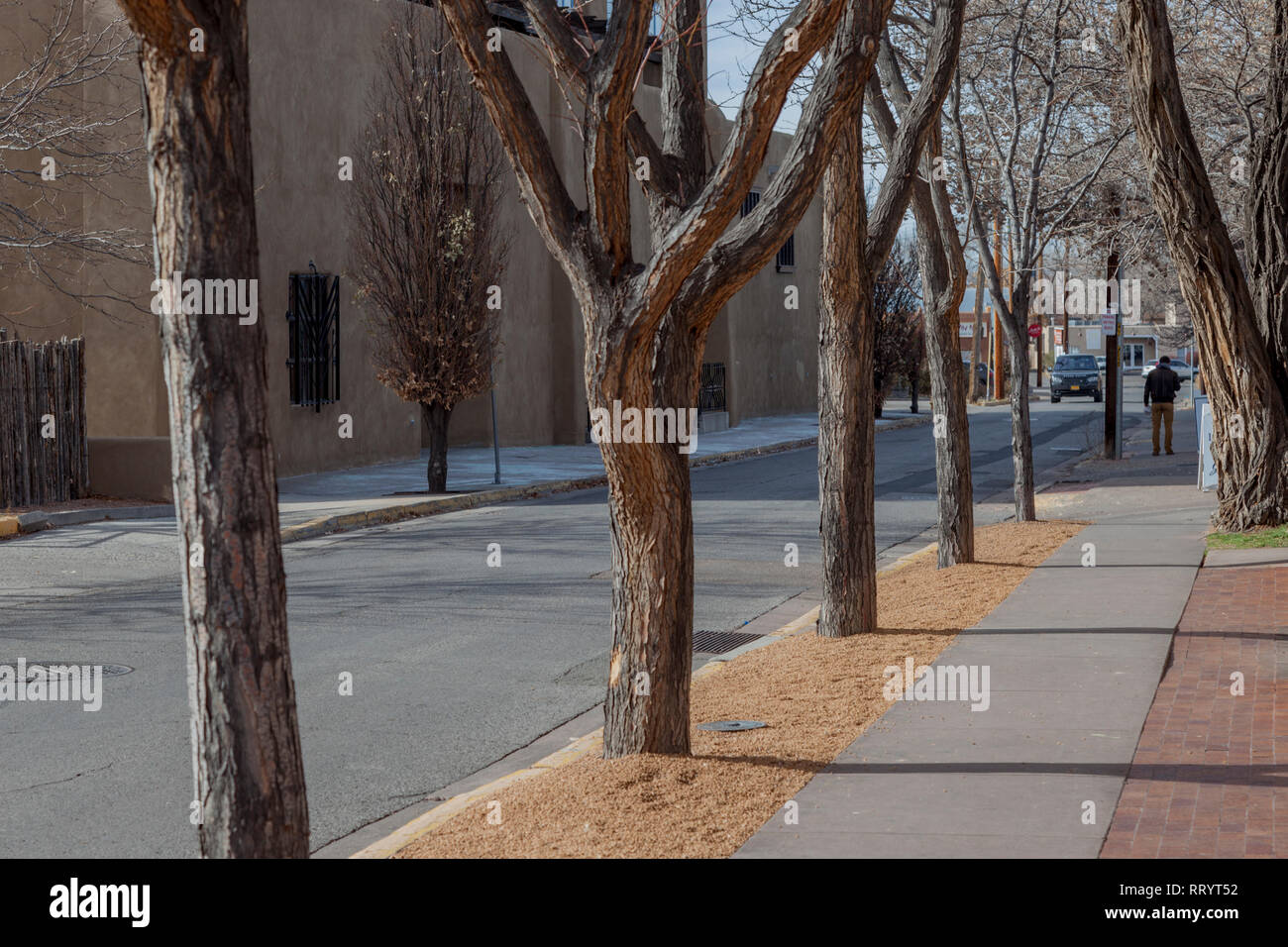 Row of tree trunks by sidewalk Stock Photo - Alamy
